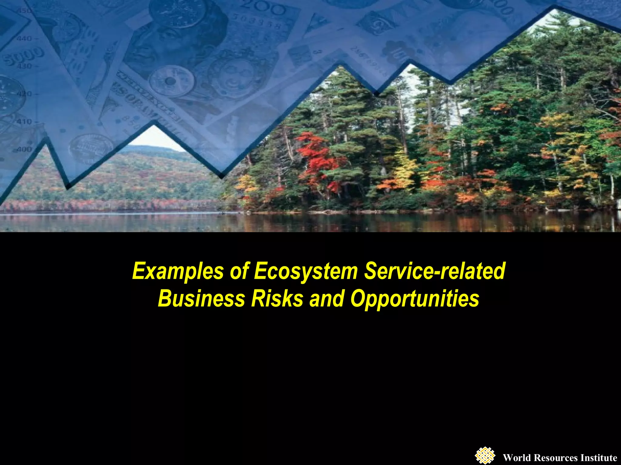 Examples of Ecosystem Service-related Business Risks and Opportunities ...