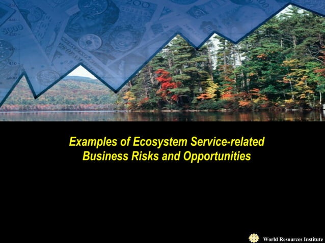 Examples of Ecosystem Service-related Business Risks and Opportunities ...
