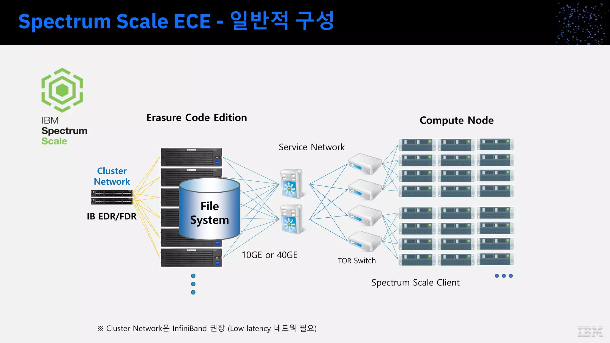 IBM Storage for AI - NVMe & Spectrum Scale 기술을 탑재한 ESS3000 | PDF