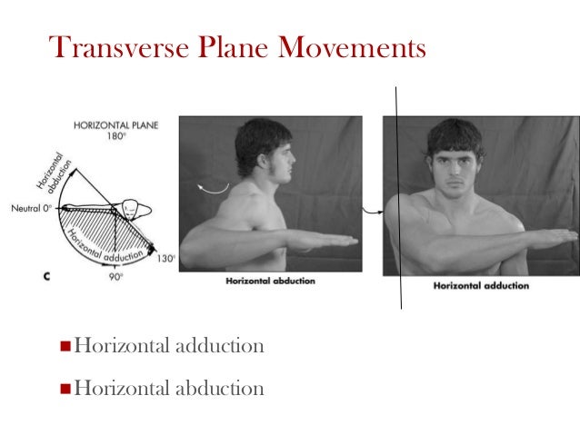 Ess 3092 week 4 student (shoulder)