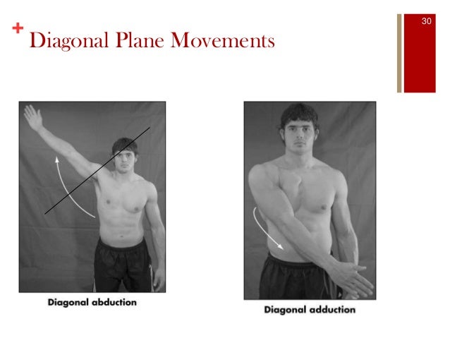 Ess 3092 week 4 student (shoulder)