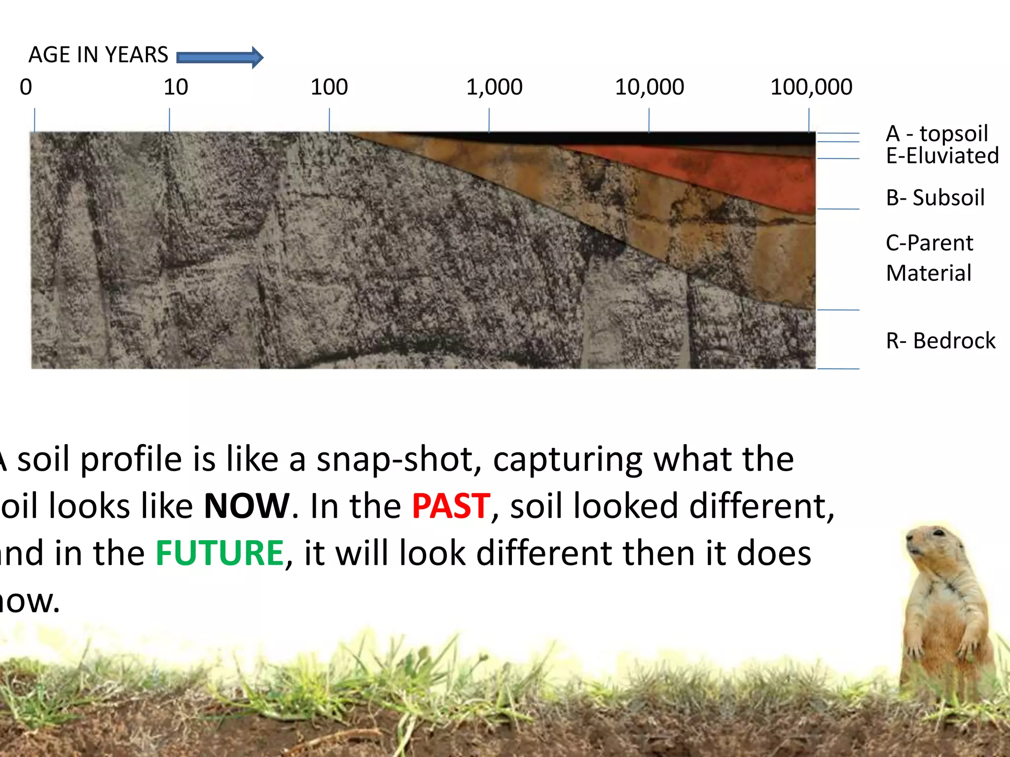 Ess 5.1 Soil formation | PPTX