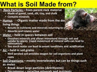 Ess 5.1 Soil formation | PPTX | Gardening | Home & Garden