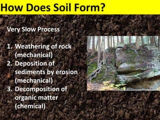 Ess 5.1 Soil formation | PPTX