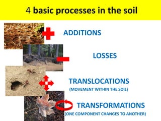 Ess 5.1 Soil formation | PPTX | Gardening | Home & Garden