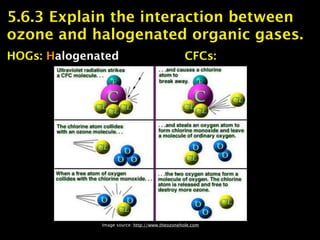 ESS Topic 5.6 Depletion of Stratospheric Ozone | KEY