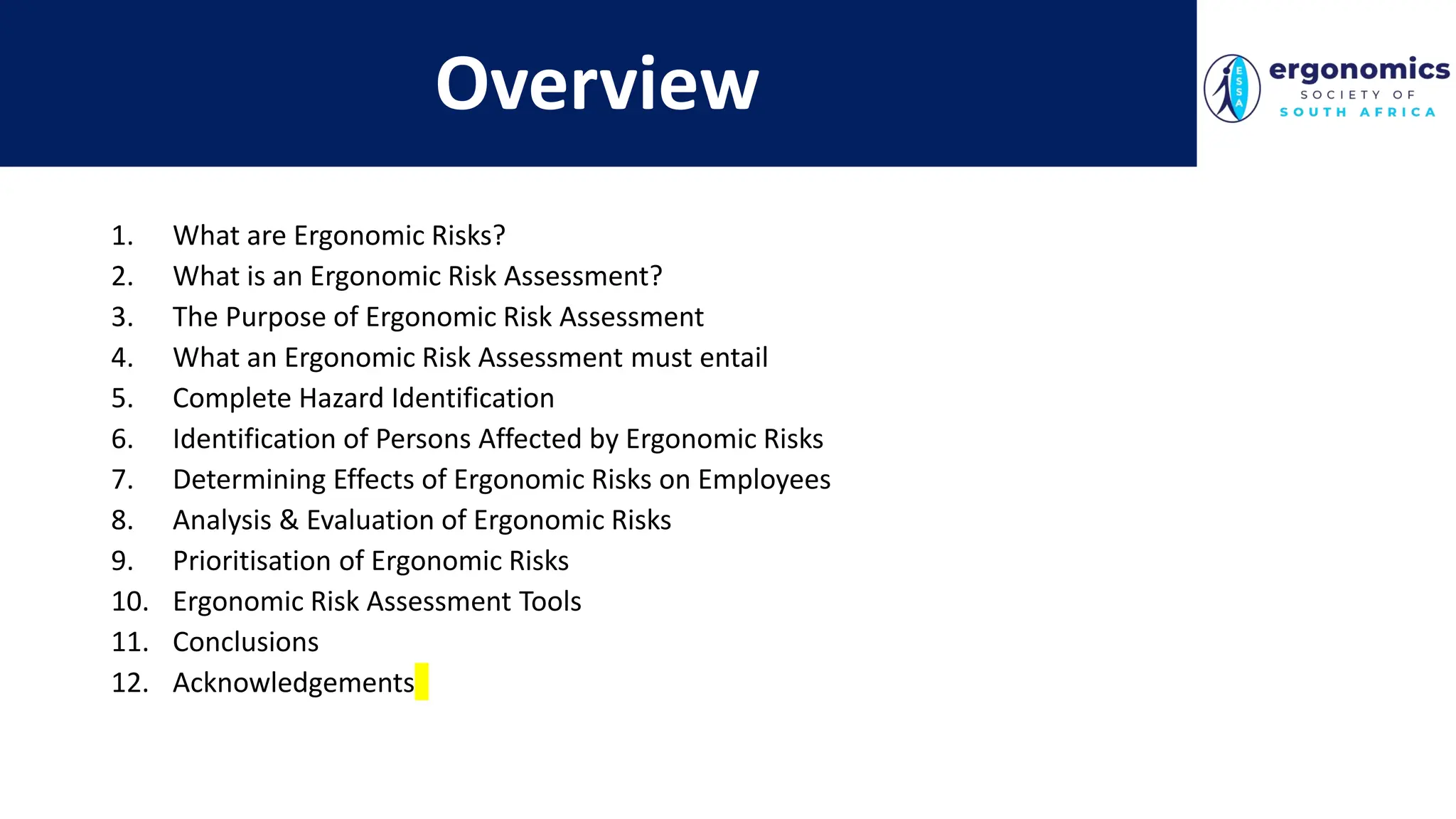 ERGONOMIC RISK ASSESSMENTS Presenter: Sma Ngcamu-Tukulula Human Factors ...