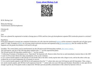Essay About Biology Lab | PDF | Genetics | Science