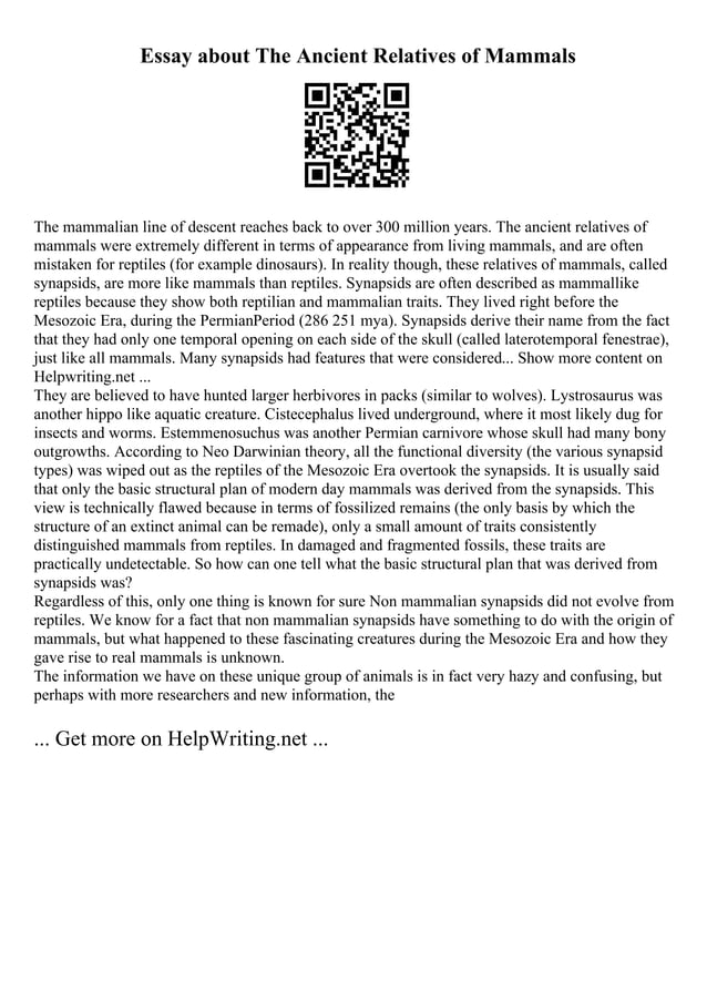 Essay About Cars Advantages And Disadvantages | PDF