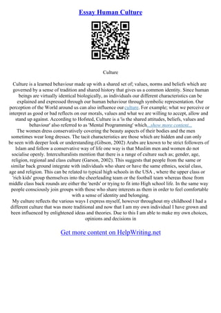 Essay About Culture | PDF