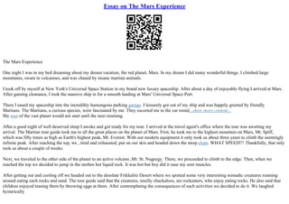 Essay About Life On Mars | PDF