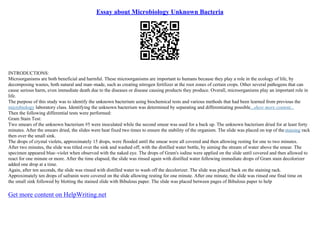 Essay About Microbiology Unknown Bacteria | PDF