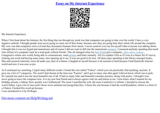 Essay About Surfing The Internet | PDF
