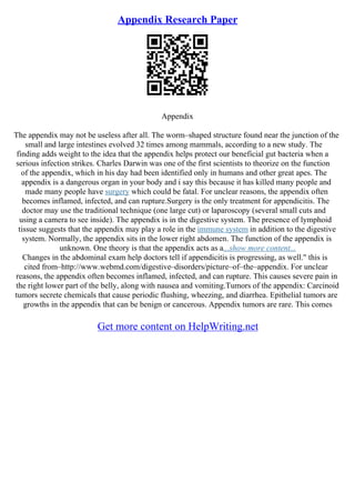 Appendix Example Essay