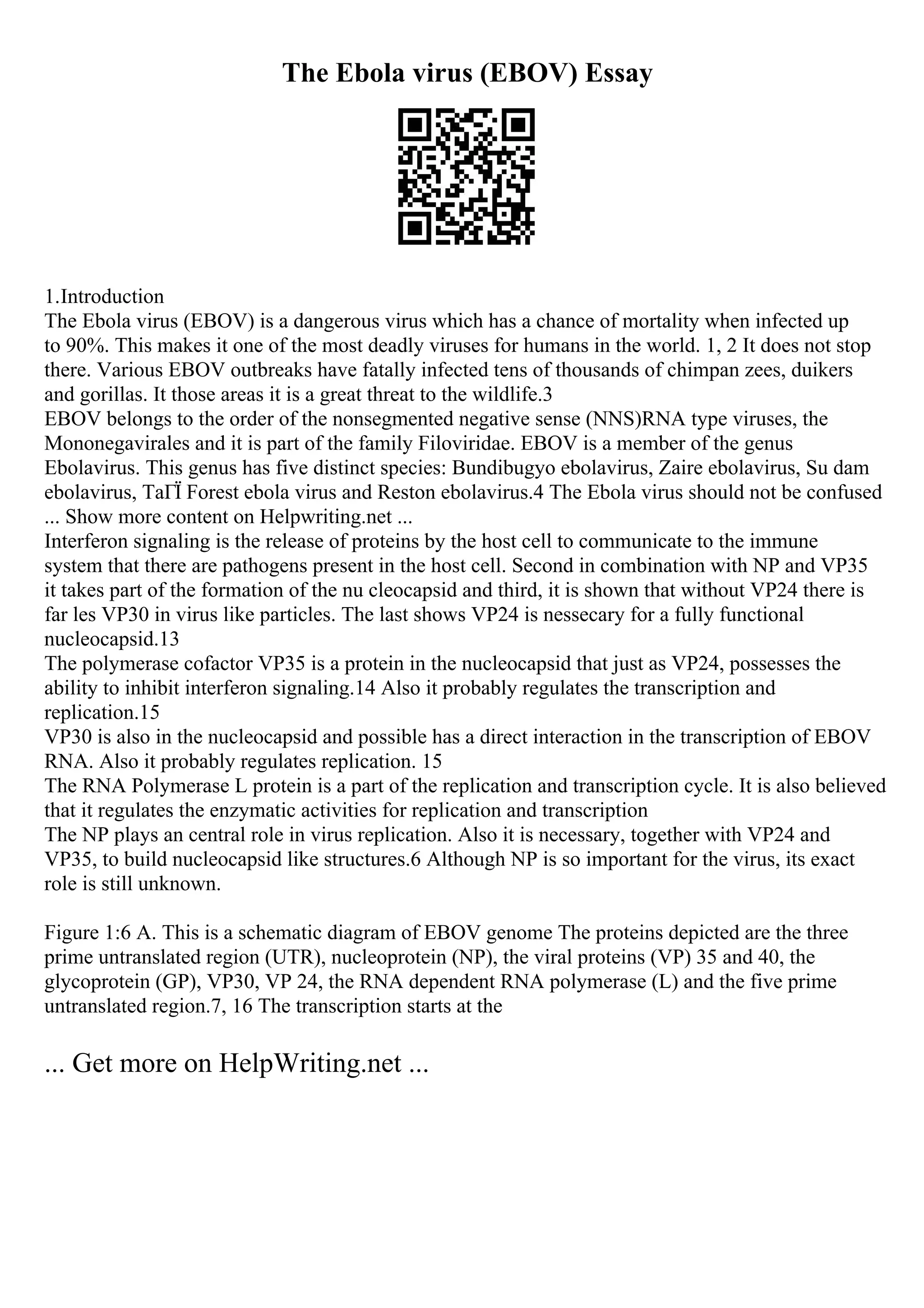 Essay Chronological Order Example | PDF