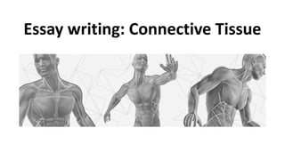 Essay - connective tissue | PPTX