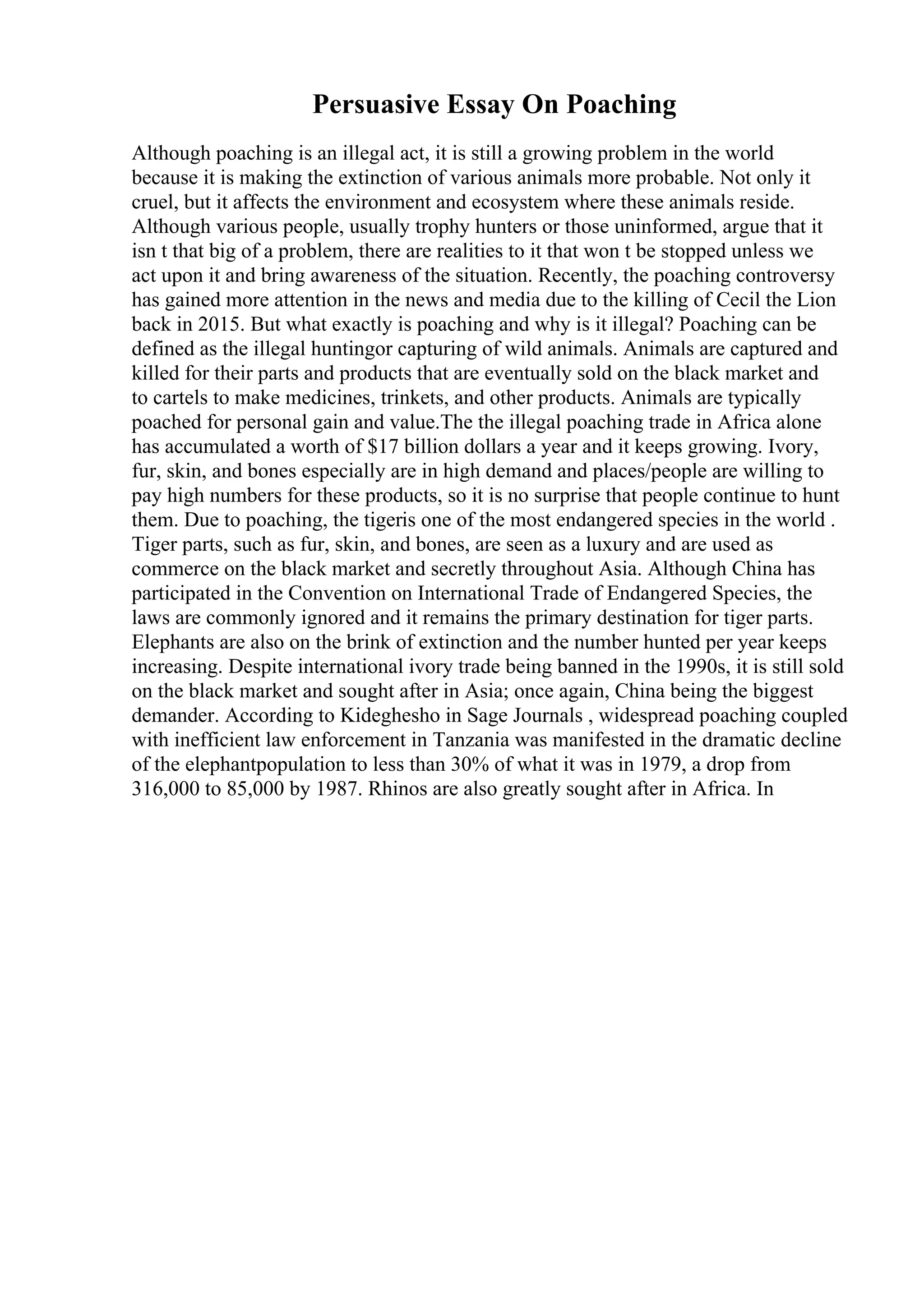 Essay Culture Shock. The 5 Stages of Culture Shock: Essay Example, 323 ...