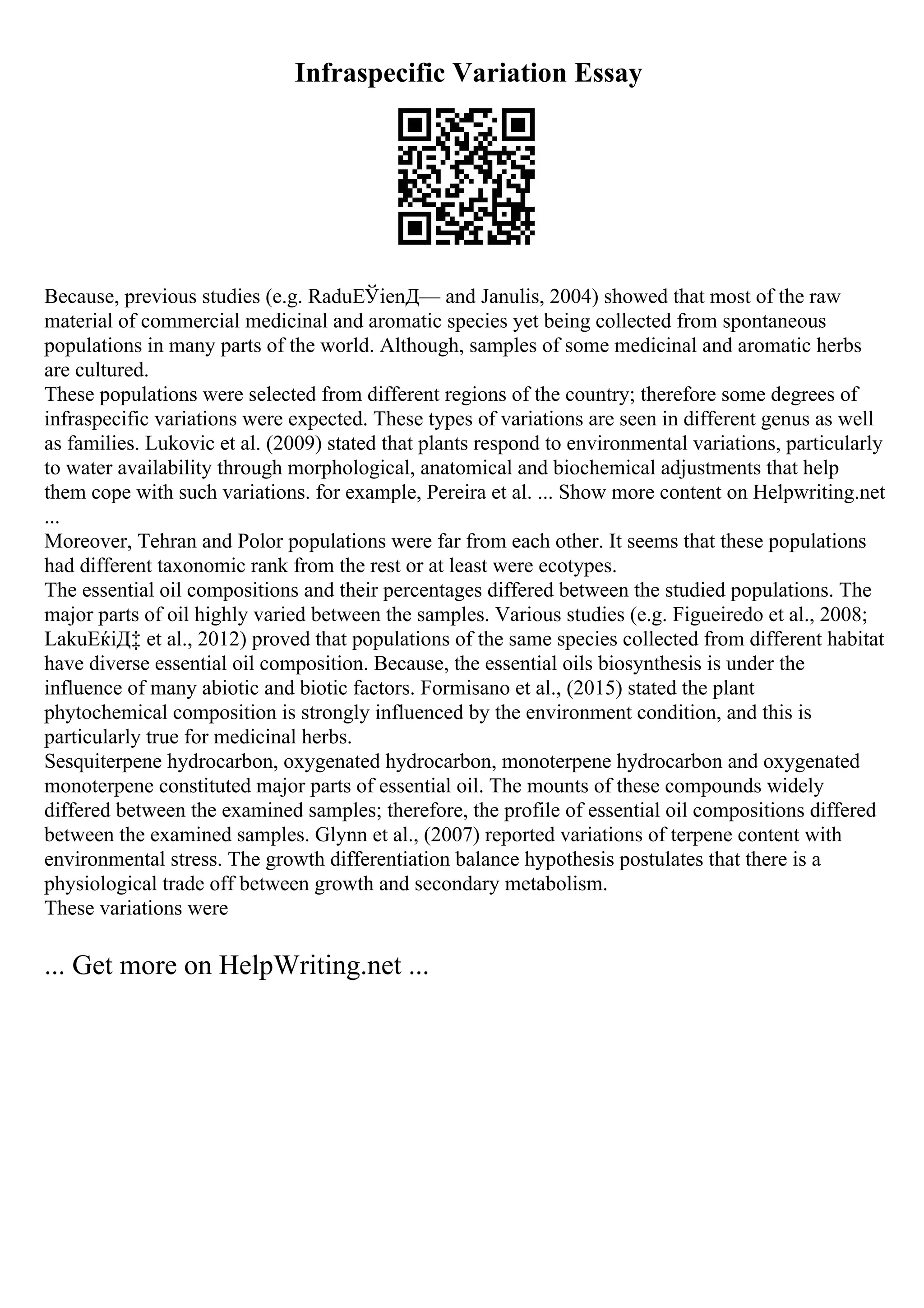 Essay Drawing Hobby | PDF