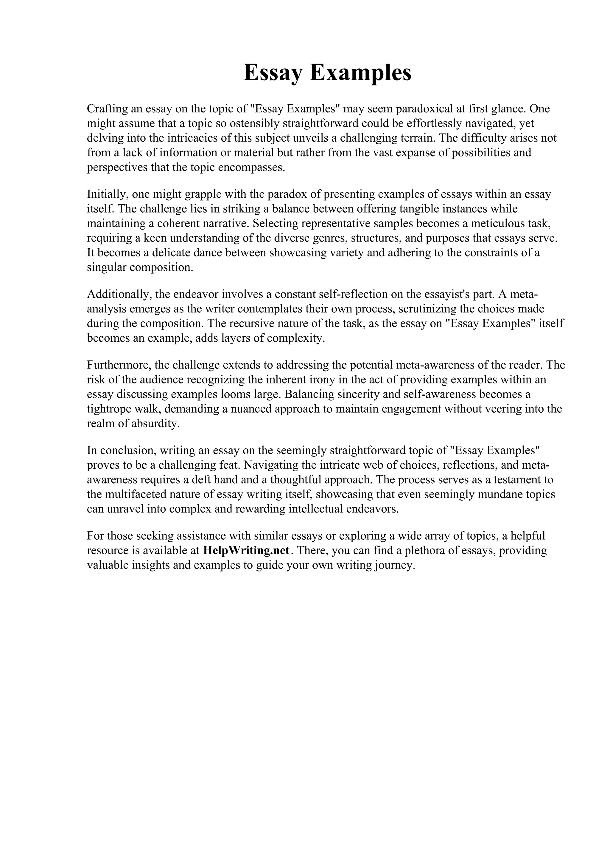 Essay Examples | PDF