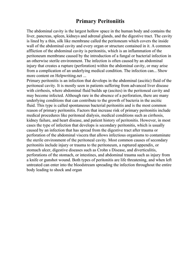 Essay Examples For Kids | PDF