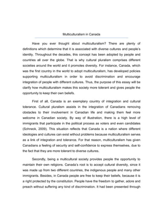 Essay multiculturalism | PDF