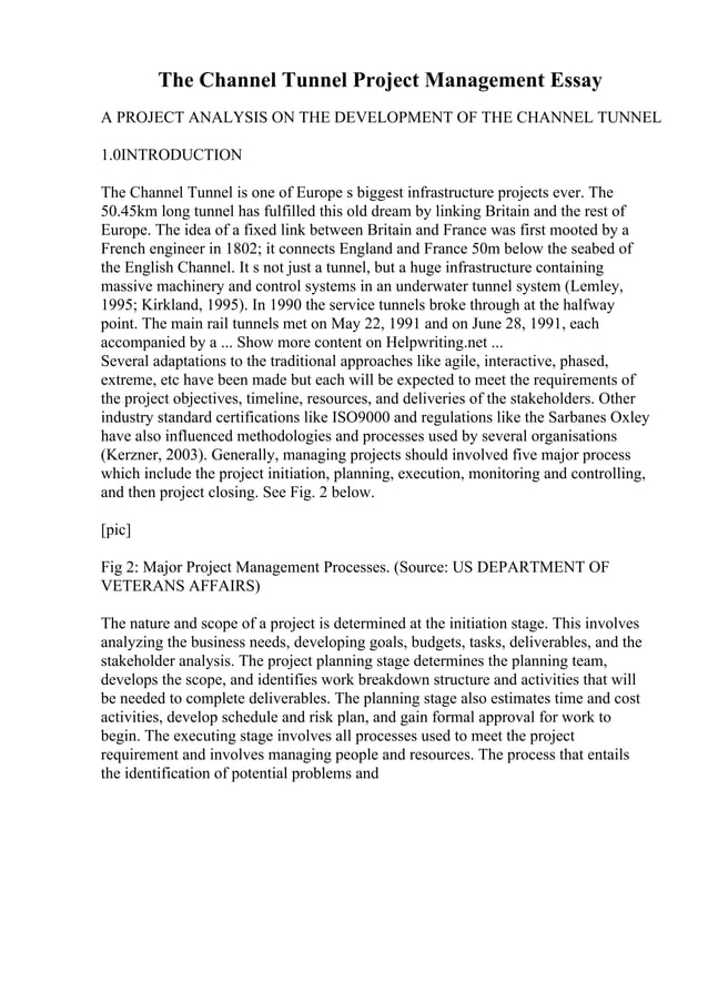 Essay On Attachment Theory | PDF