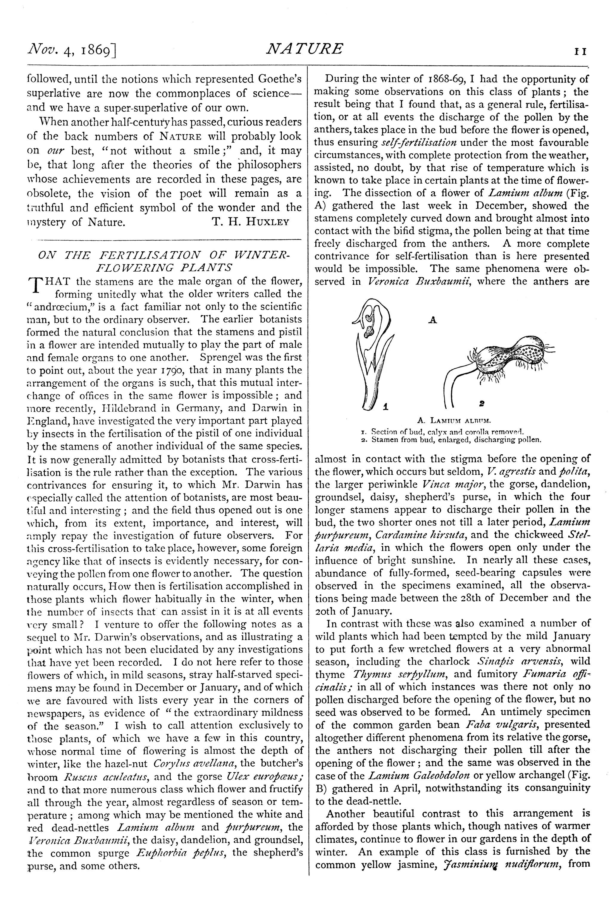 Essay on beautiful nature | PDF