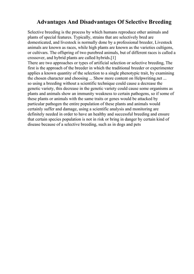 Essay On Child Labor. Child Labor Paragraph For Students | PDF