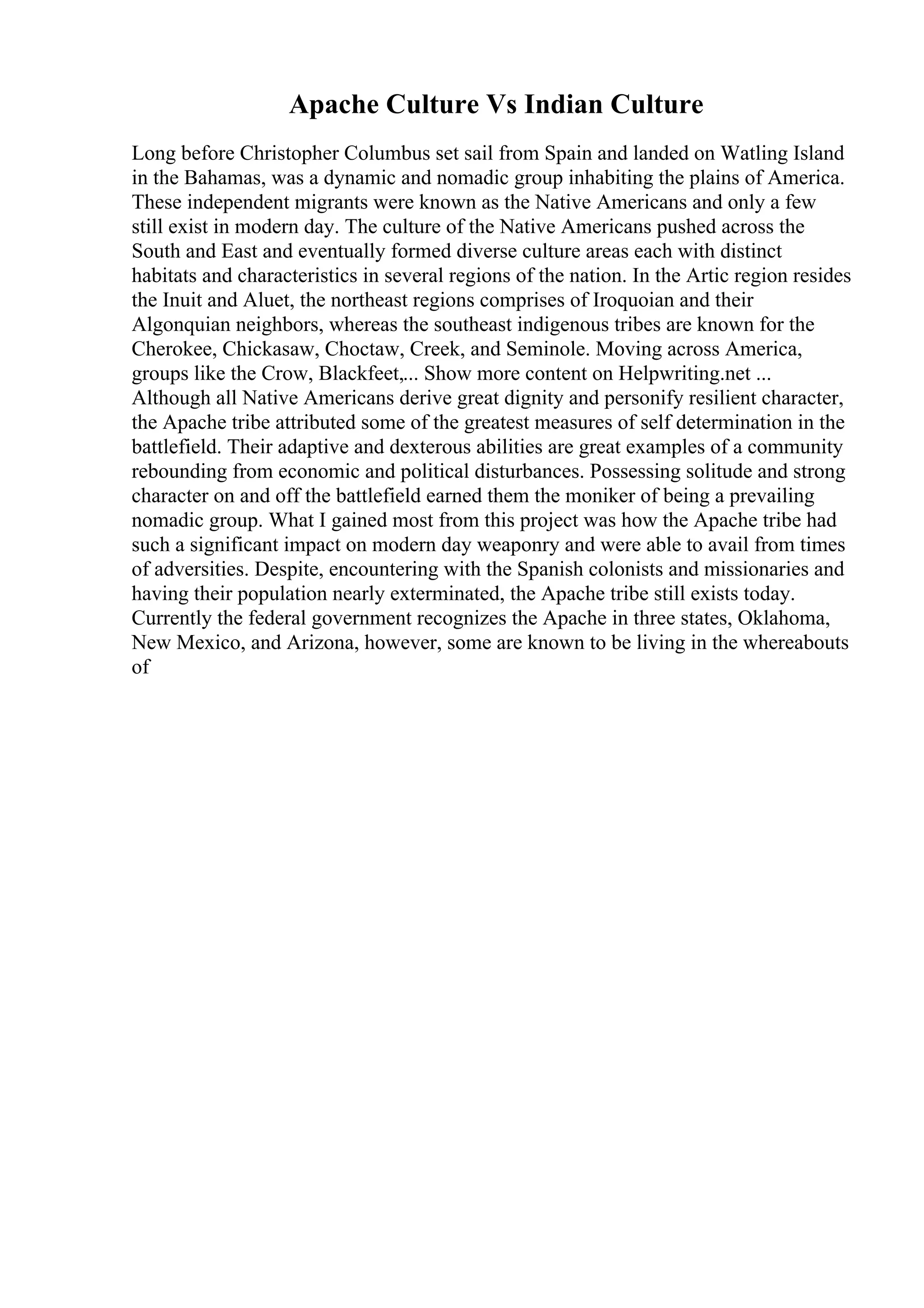 Essay On Cultural Diversity In India. Cultural Diversity in India Essay ...