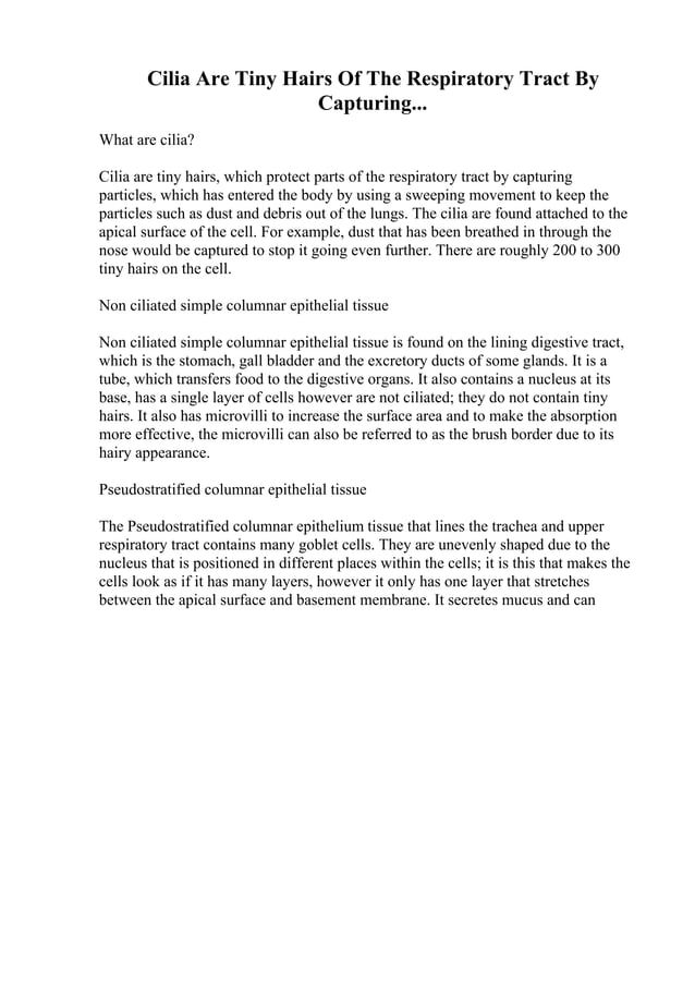 Essay On Ecosystem | PDF