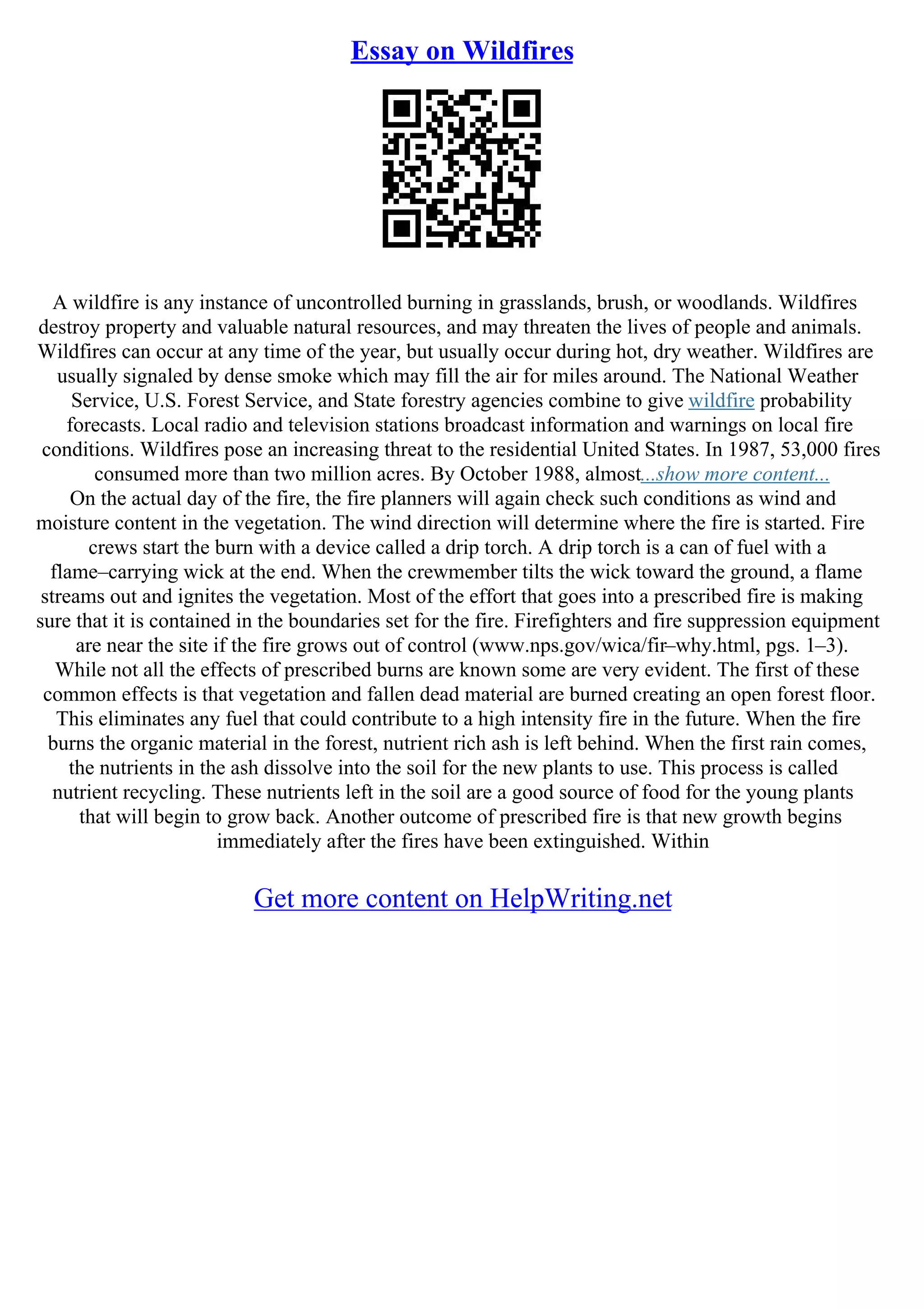 Essay On Fire Prevention | PDF