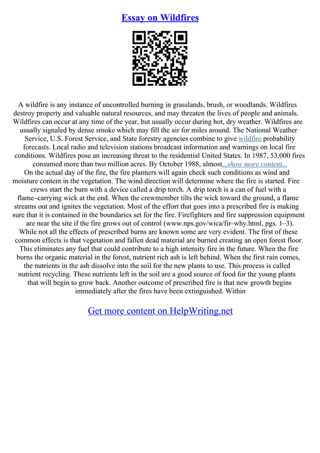 Essay On Fire Prevention | PDF