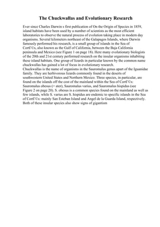 Essay On King Lear | PDF