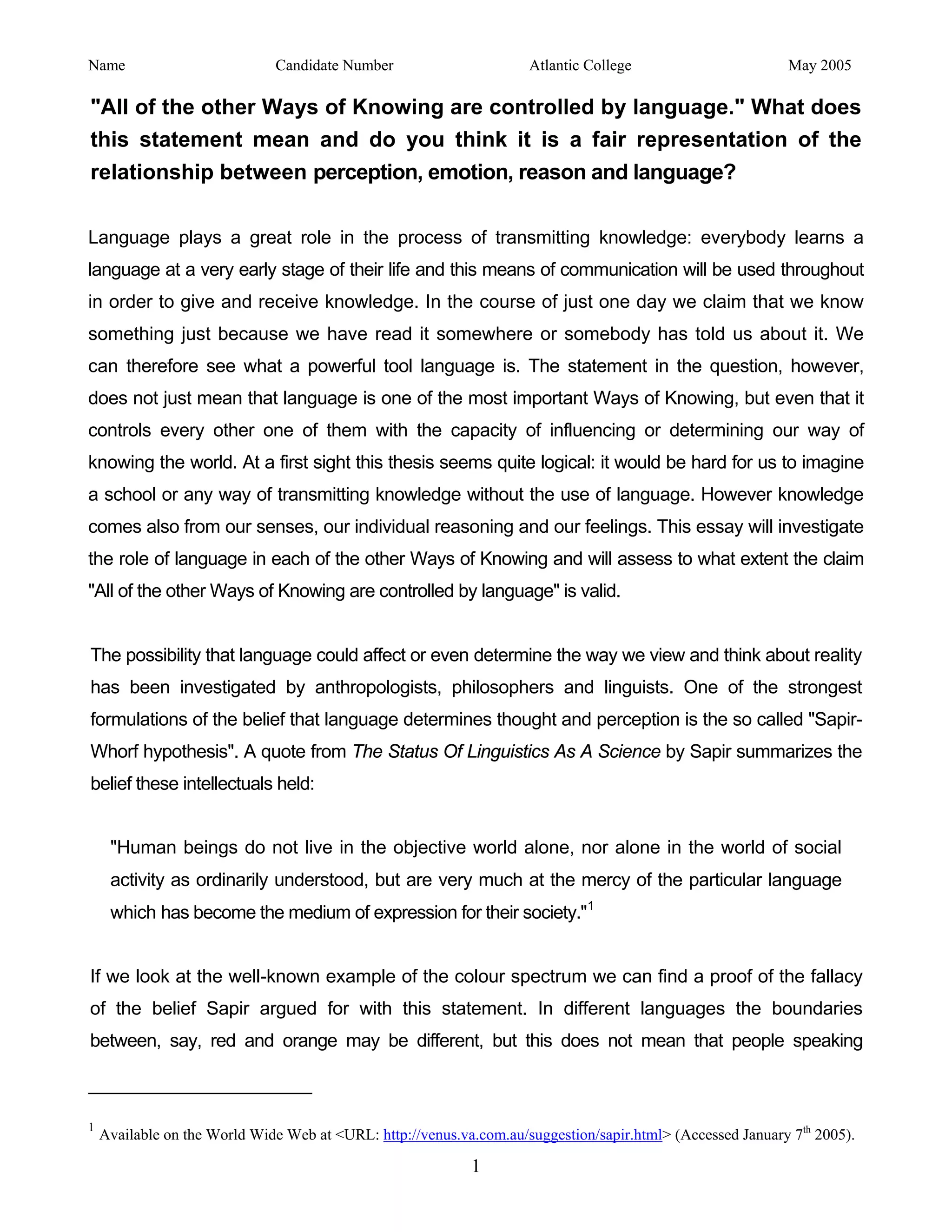 Essay On Language | PDF