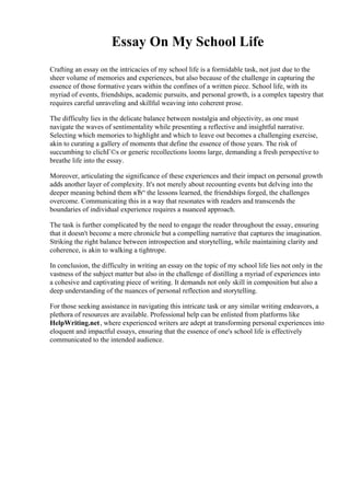 Essay On My School Life.pdf