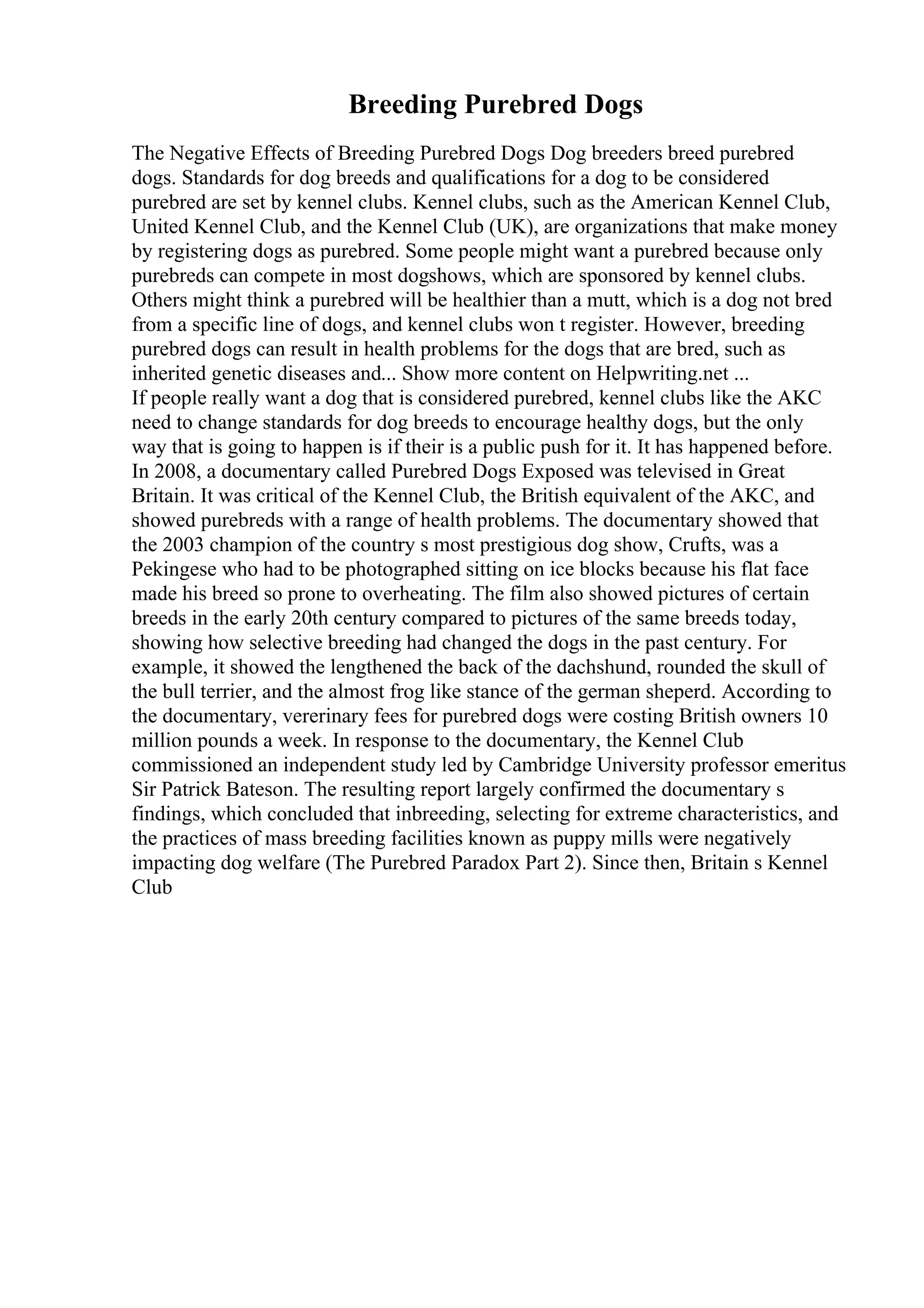Essay On Natural Disasters.pdf