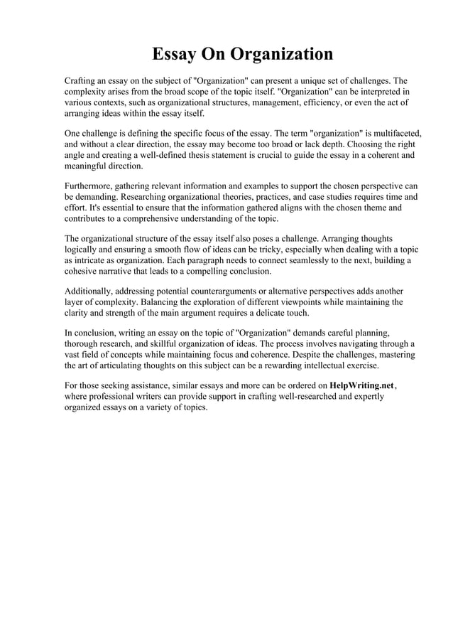 Essay On Organization | PDF