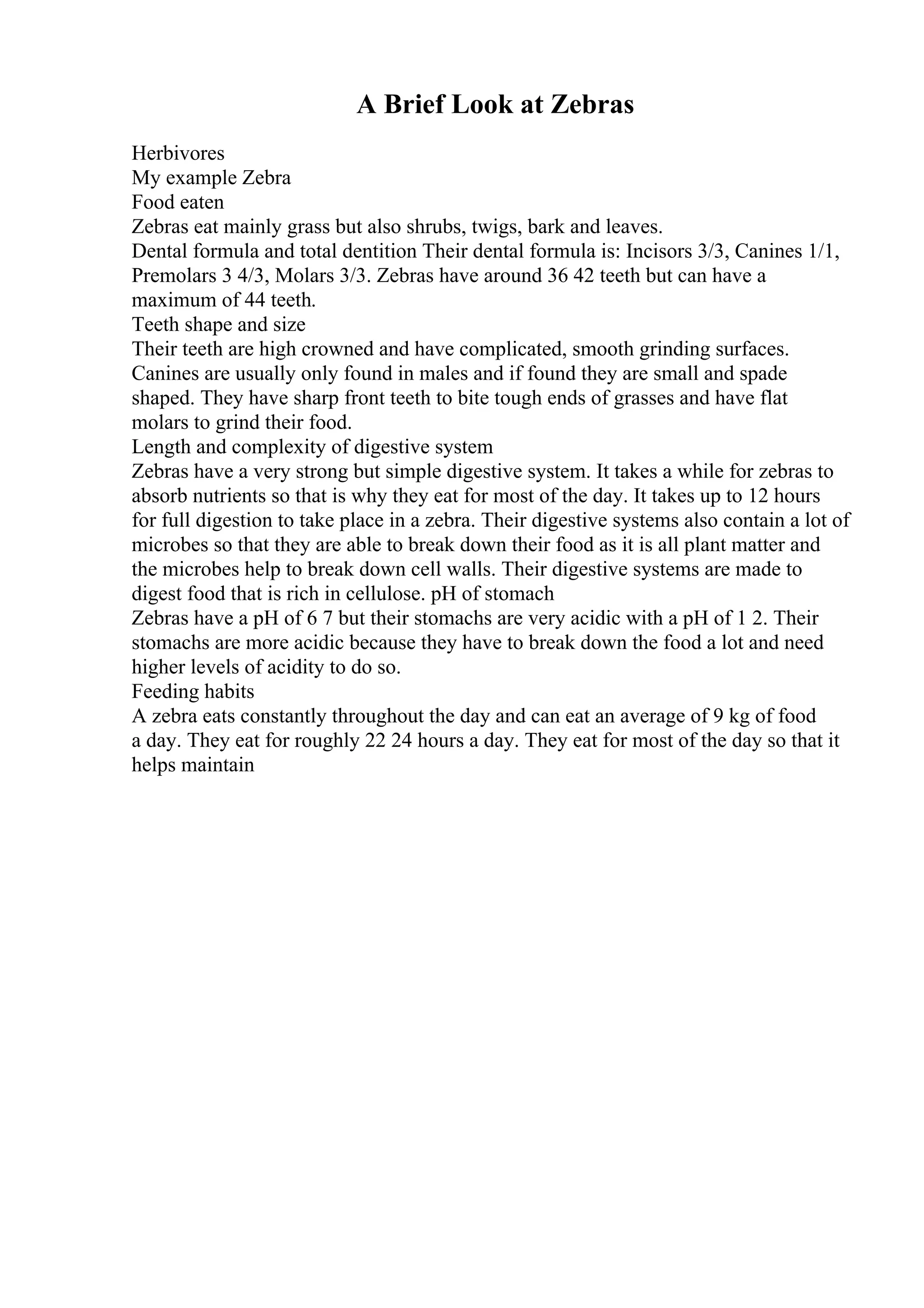 Essay On Punctuality | PDF