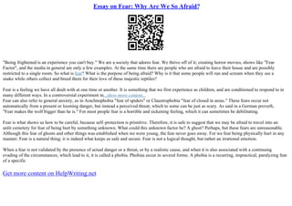 Essay On Scary Night | PDF