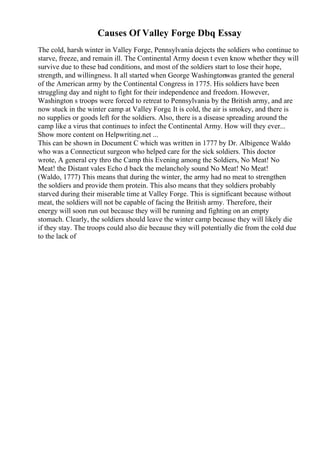 Essay On Shopping Malls In Hindi | PDF