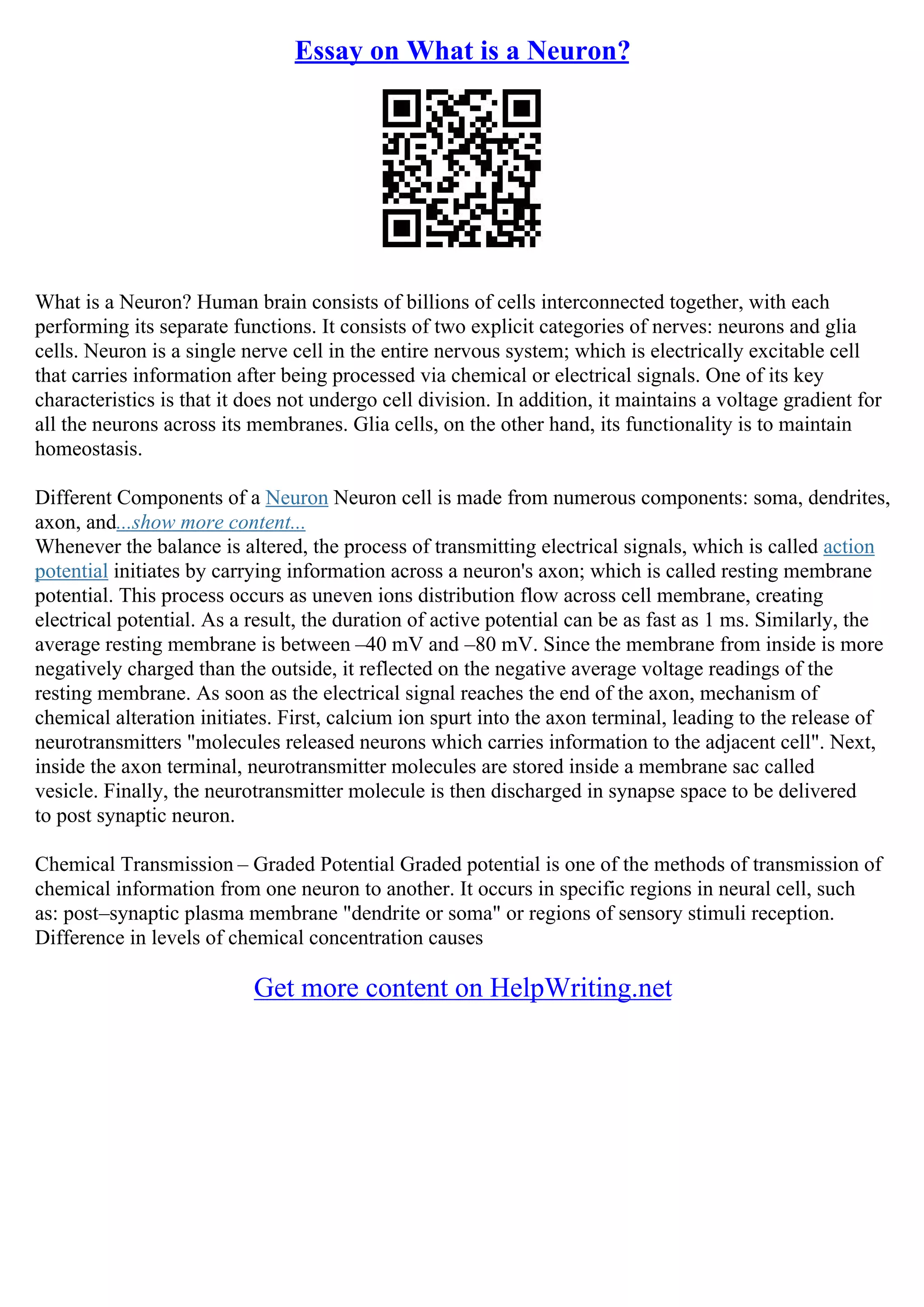 Essay On The Brain | PDF