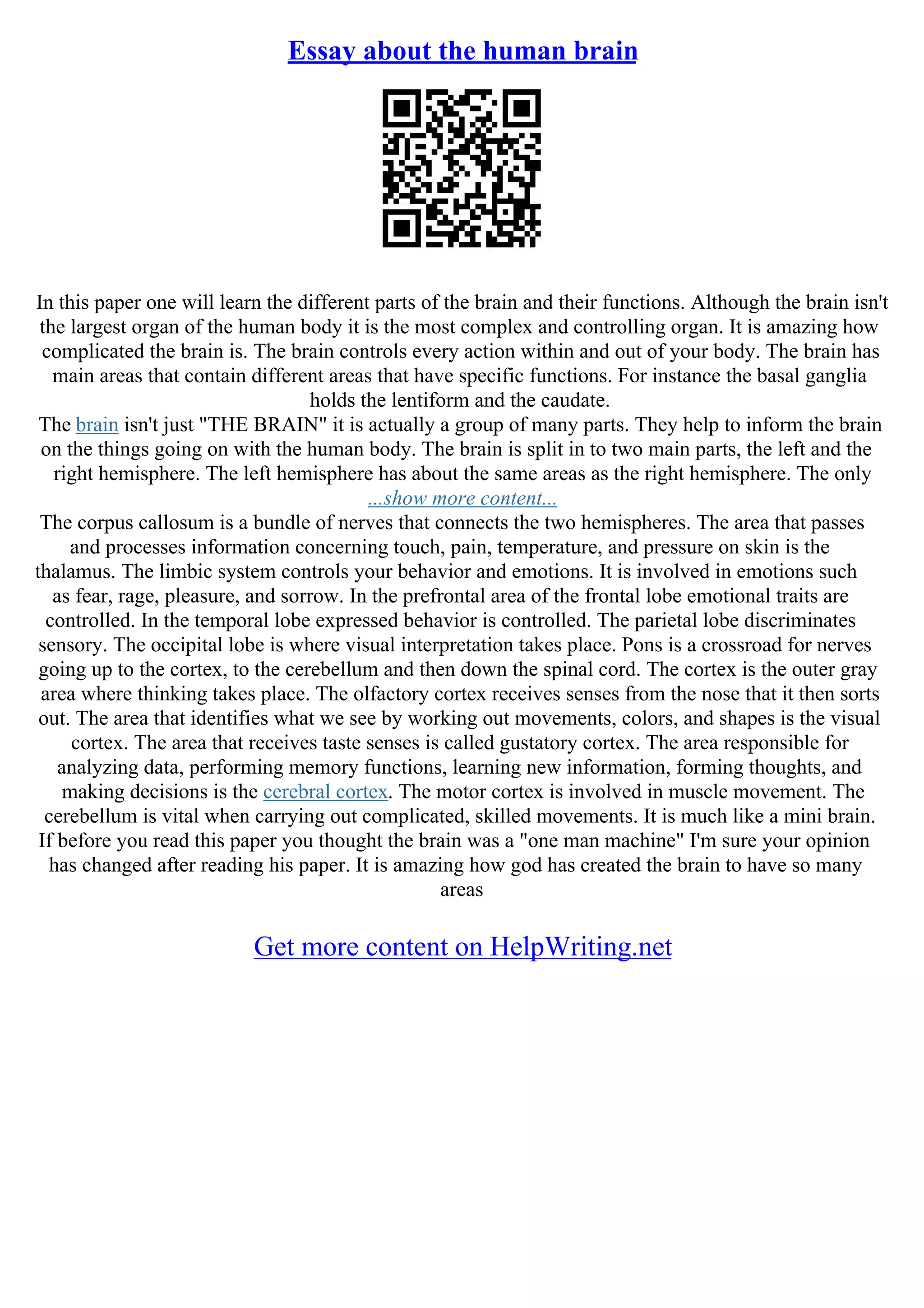 Essay On The Brain | PDF