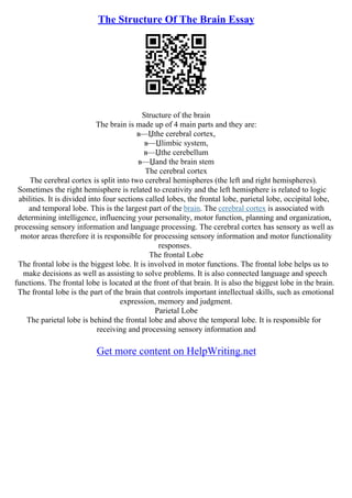 Essay On The Brain | PDF