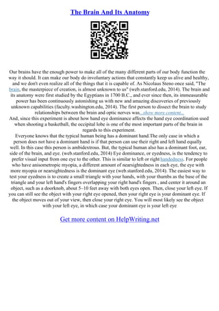 Essay On The Brain | PDF
