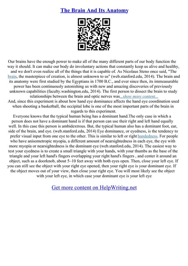 Essay On The Brain | PDF