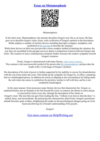 Essay On The Metamorphosis | PDF