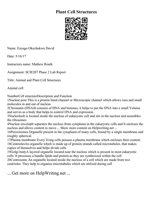 Essay Organization Worksheet | PDF