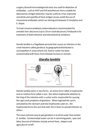 Essay para | DOCX | Infectious Diseases | Diseases and Conditions