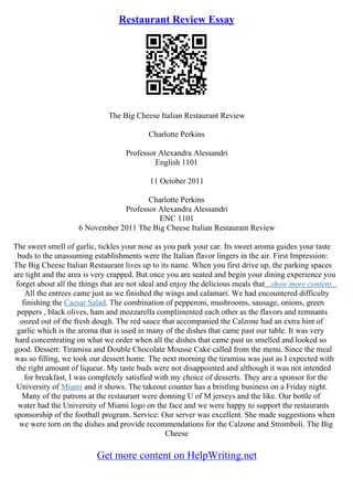 Essay Service Review | PDF