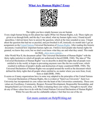 Essays On Human Rights | PDF